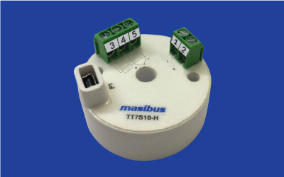 Masibus